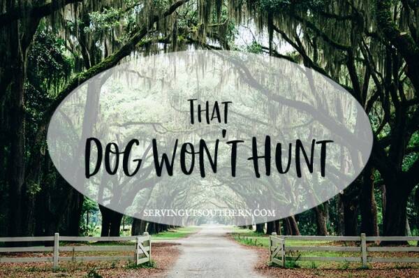 50 of the Best Southern Sayings | Serving Up Southern